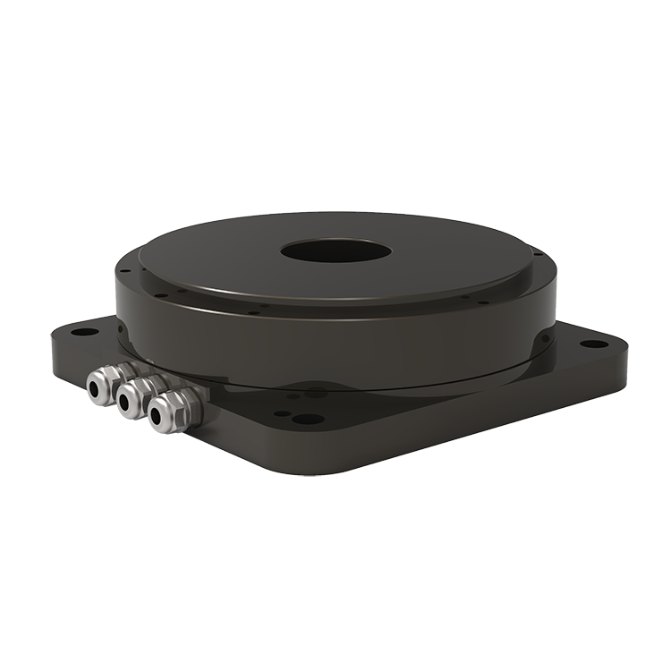 OEM Direct-Drive Rotary Motor factory and manufacturers | TPA Robot